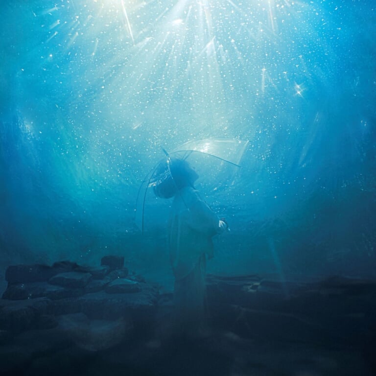 Aqua Timez、ドラマ『新東京水上警察』主題歌「if you come」MV公開決定 | BARKS